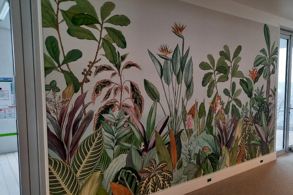 Revêtement Mural, peinture ou papier peint | Groupe Boulfray